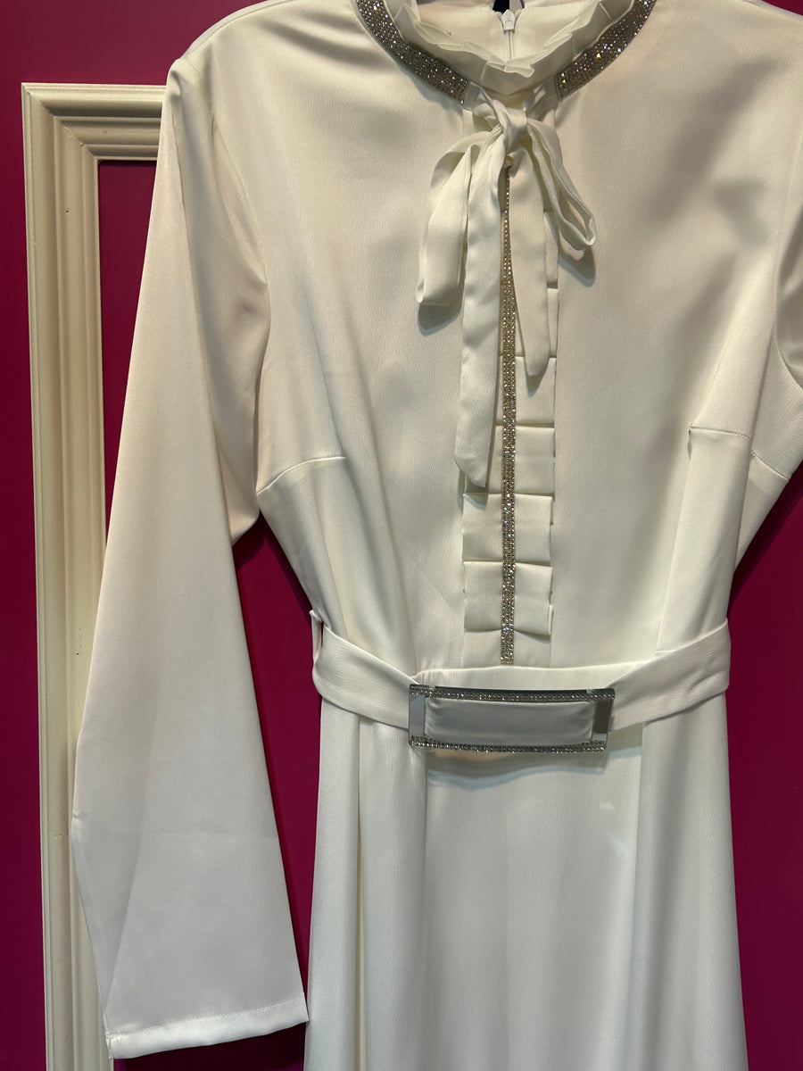 Silky Fancy Dress – fancy label